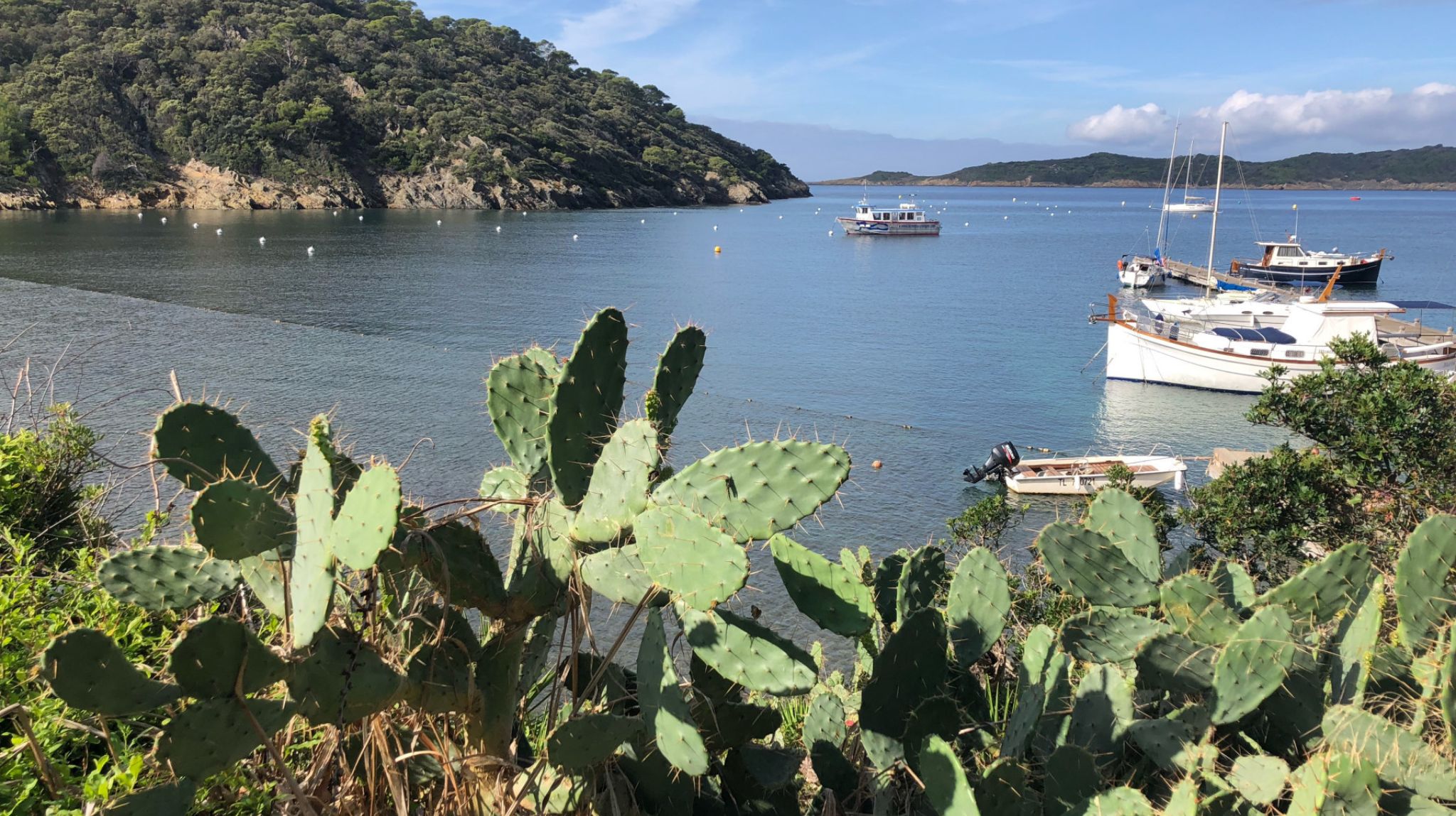 The best anchorages of Port-Cros - Navily The Logbook